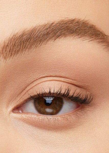 Tattoo Studio Brow Collection | Eyebrow Products | Maybelline UK